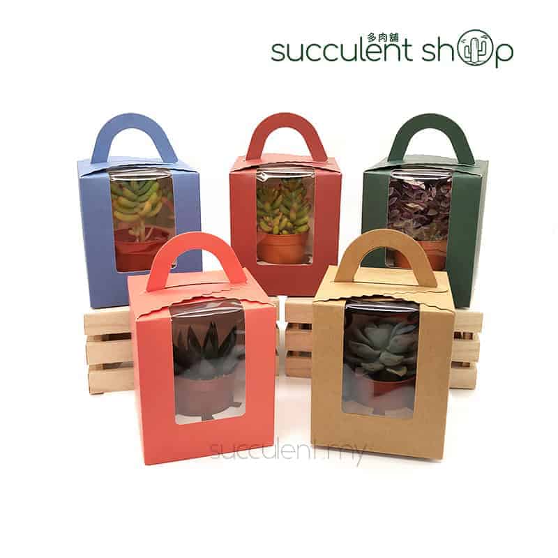 Gift Box – Succulent & Cactus Malaysia